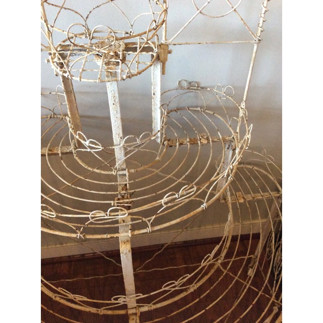 Antique French Wire Garden Plant Stand Iron | Chairish