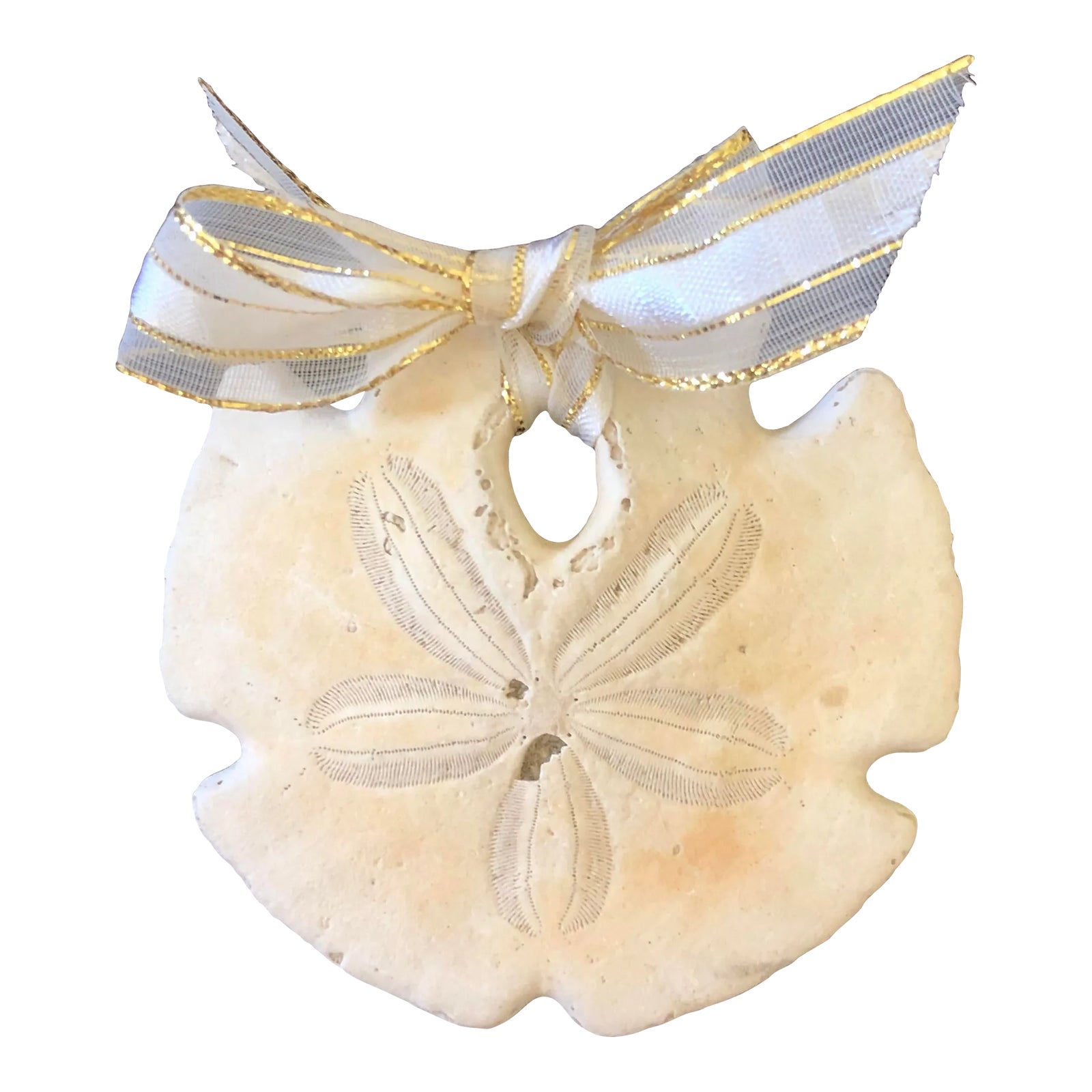Small Sand Dollar Ornament | Chairish