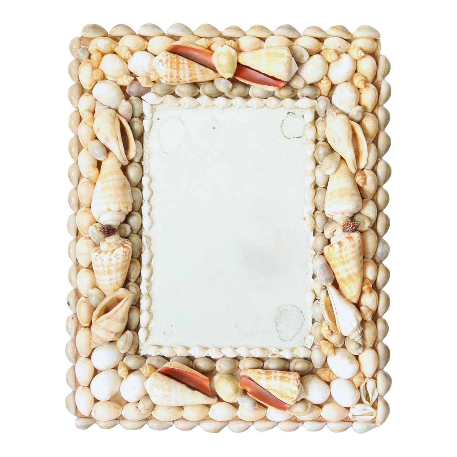 Midcentury French Shell Vanity Mirror | Chairish