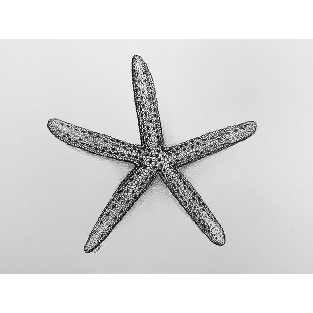 Original Pen & Ink Drawing "The Starfish" | Chairish