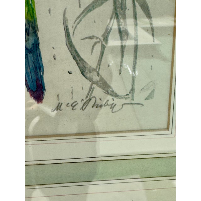 Martin Phillips "Green Parrot" 1925 Colored Woodblock | Chairish