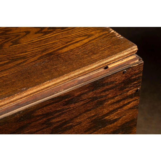 Early 20th Century Double Stack Flat File | Chairish