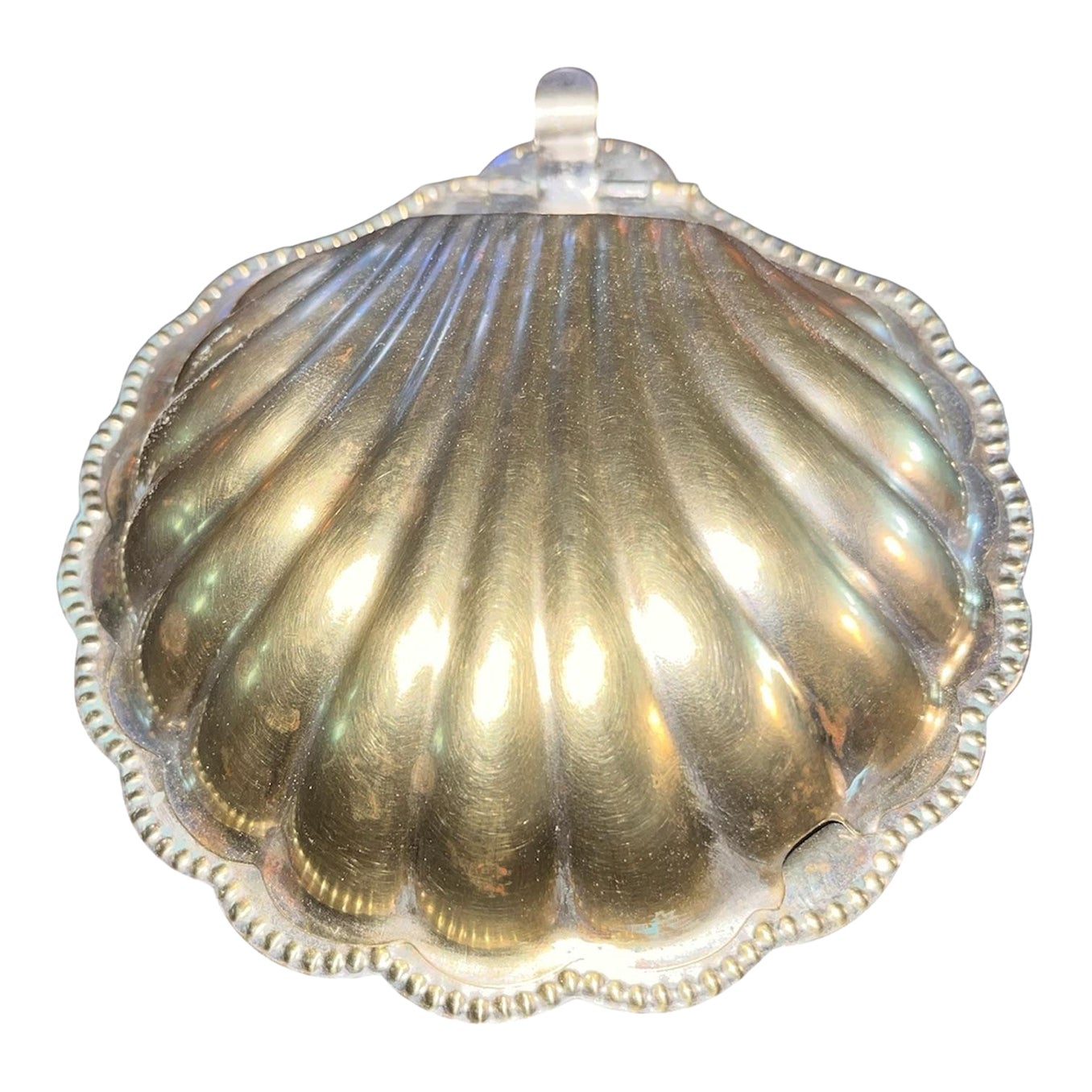 Early 20th Century England Clam Shell Dish with Glass Insert | Chairish