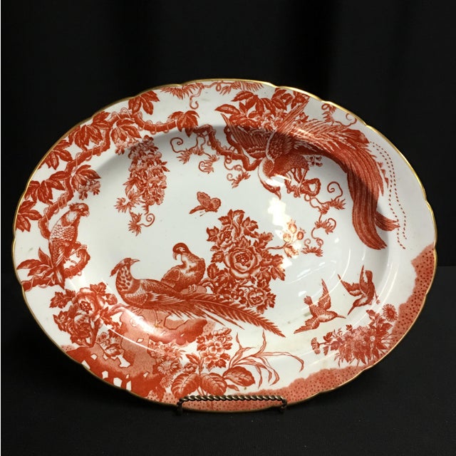 Royal Crown Derby Red Aves Bone China Set - Set of 8 | Chairish