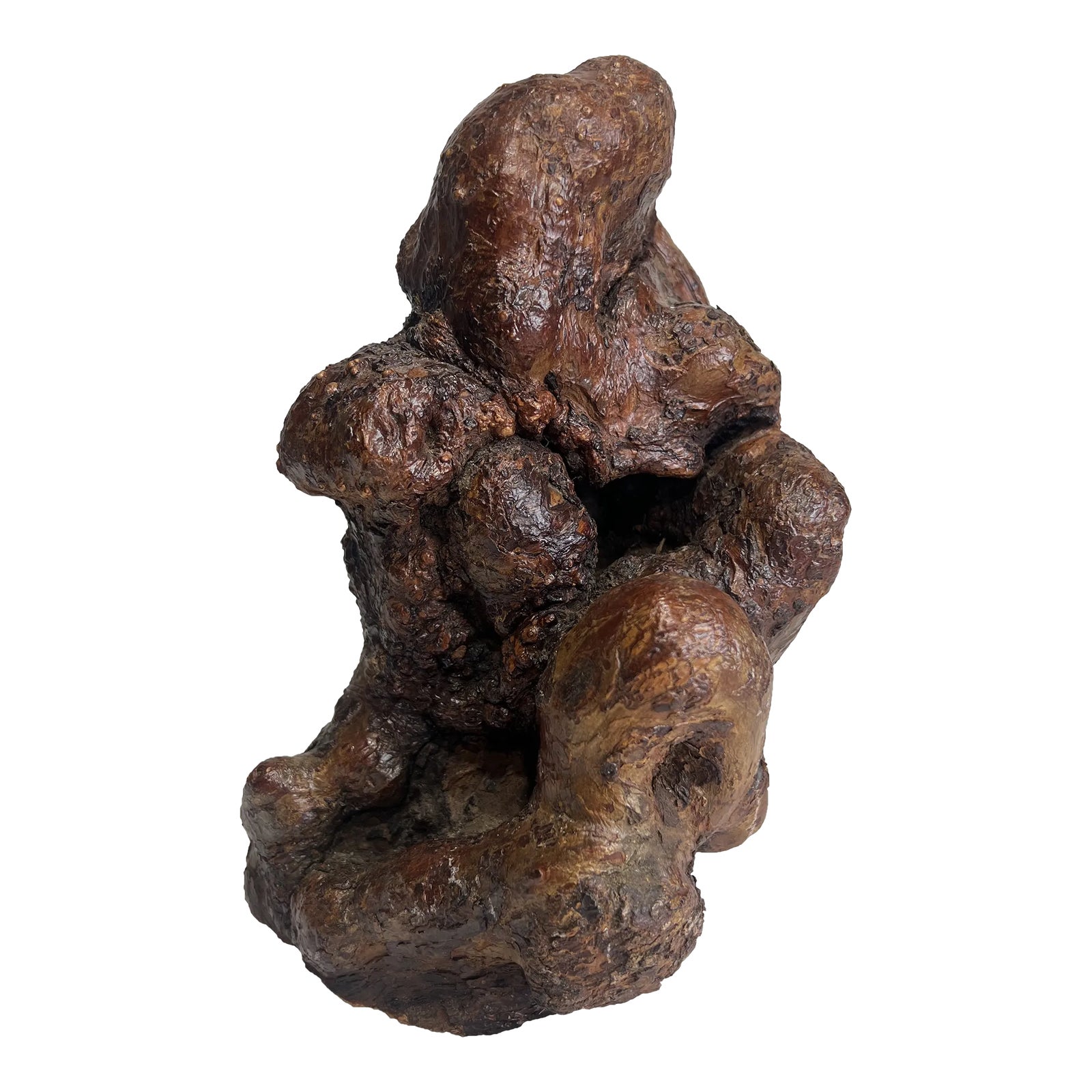 Late 19th Century Natural Root Burl Wood Sculpture | Chairish