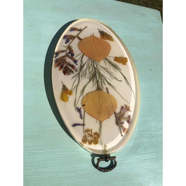 1970s Pressed Foliage Resin Art Autumn Leaves Wall Object | Chairish
