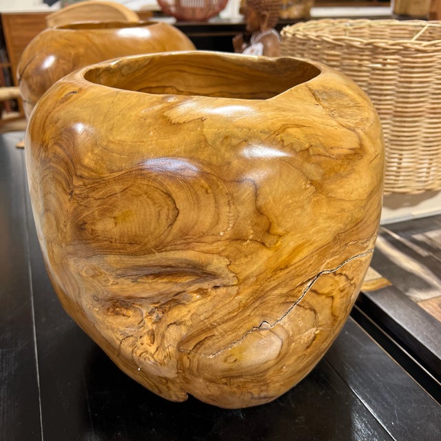 Natural Teak Root Planter | Chairish