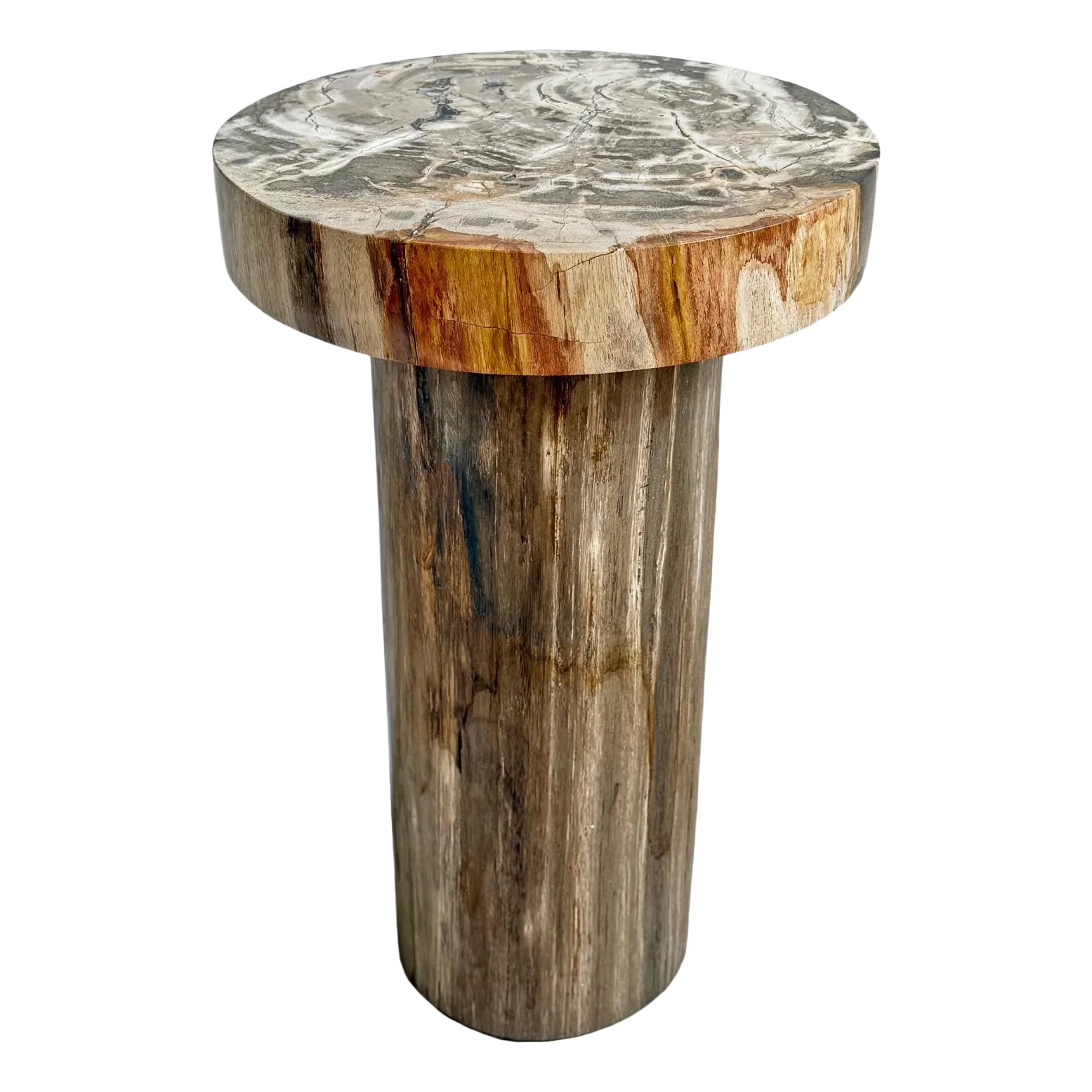Petrified Wood Vintage Pillar Side Table | Chairish