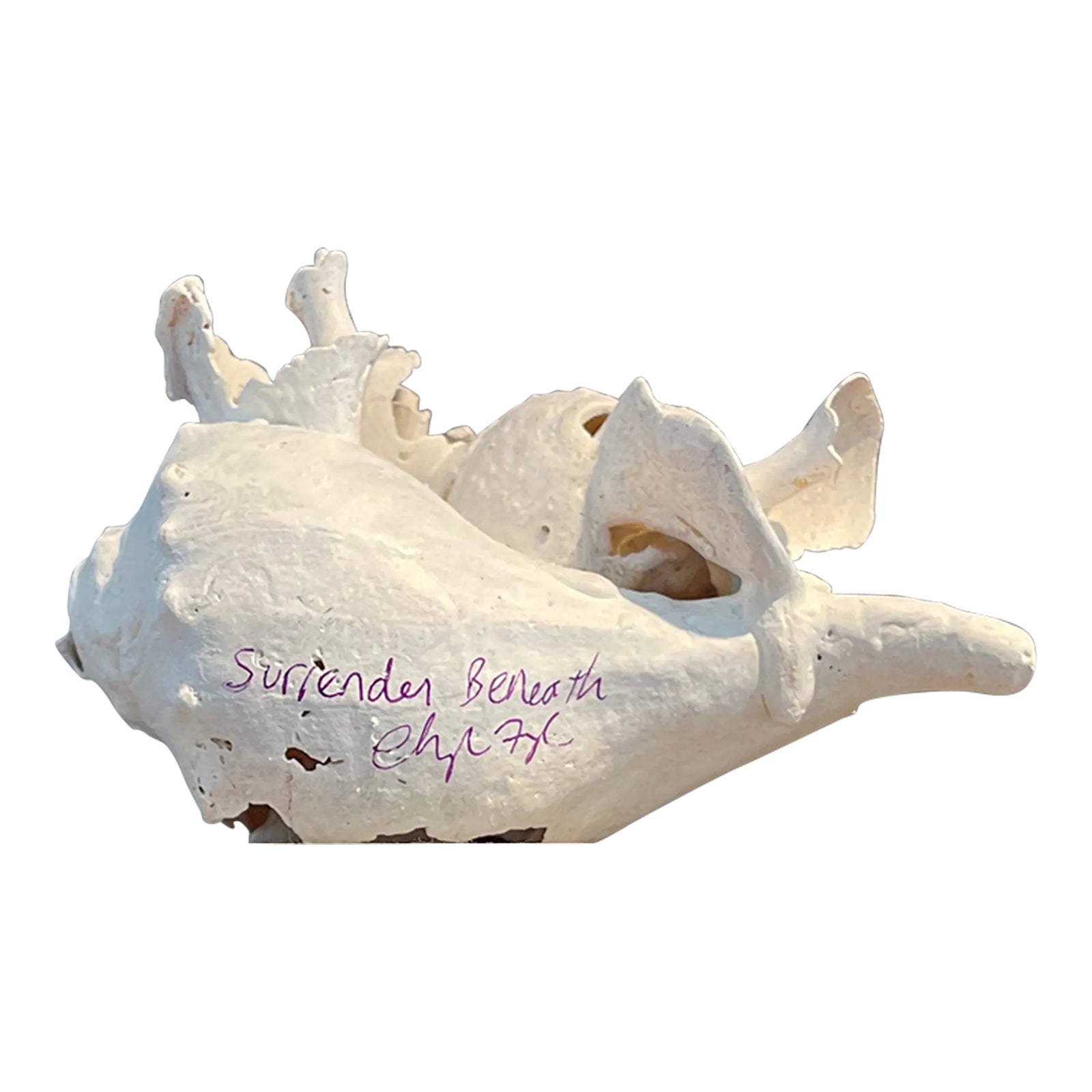 “Surrender, Beneath” 1/1 Signed by the Artist Cheryl Fudge. Modern ...