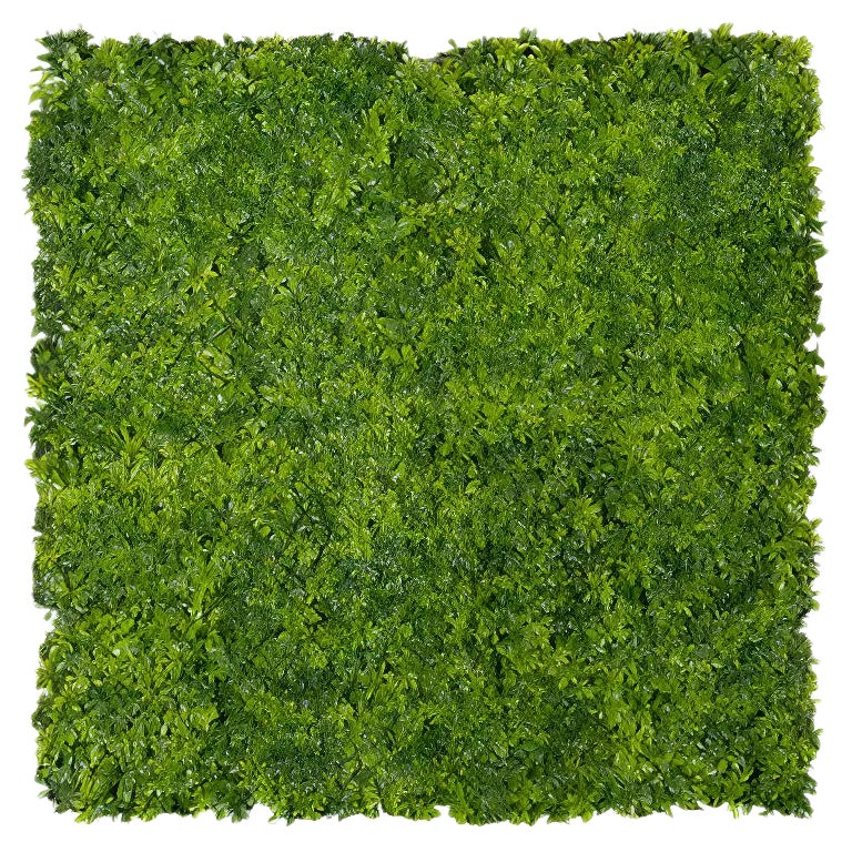 Modular Boxwood Plant Mix Wall Vertical Garden Panel from VGnewtrend ...