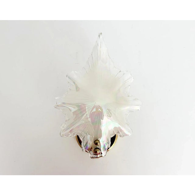 Modern Iridescent Shell Wall Light | Chairish
