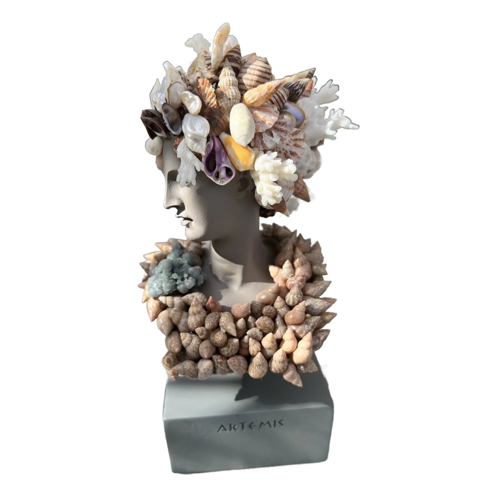 Small Christa's South Seashells Artemis Seashell Bust | Chairish
