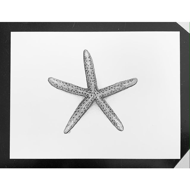 Original Pen & Ink Drawing "The Starfish" | Chairish