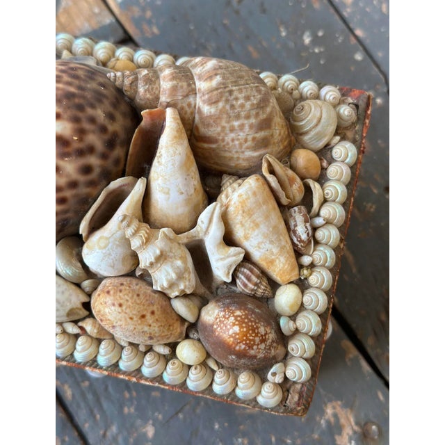 Antique Victorian Shell Encrusted Box, Circa Early 20th Century | Chairish