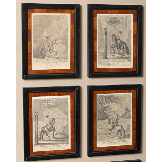 Custom French Horse Equestrian Gallery Wood Screen | Chairish
