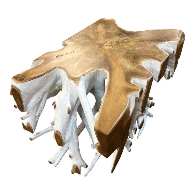 Organic Modern White Teak Root Coffee Table | Chairish