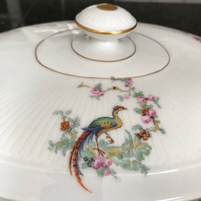 1900s Haviland Limoges Hand Decorated Gold Rimmed 'Pheasant' China -Set ...