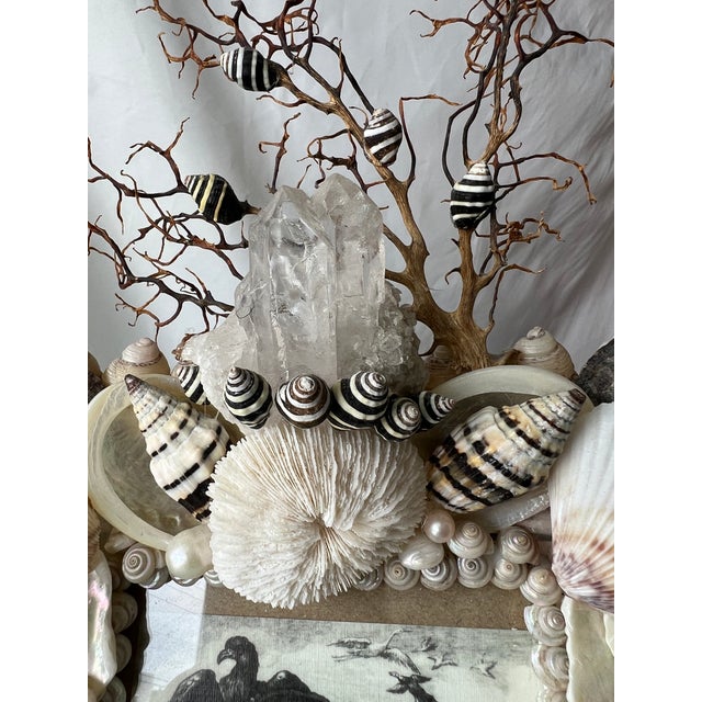 Christa’s South Seashells Shell Picture Frame | Chairish