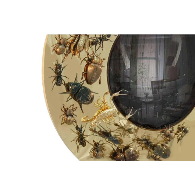 The Insects Mirror | Chairish