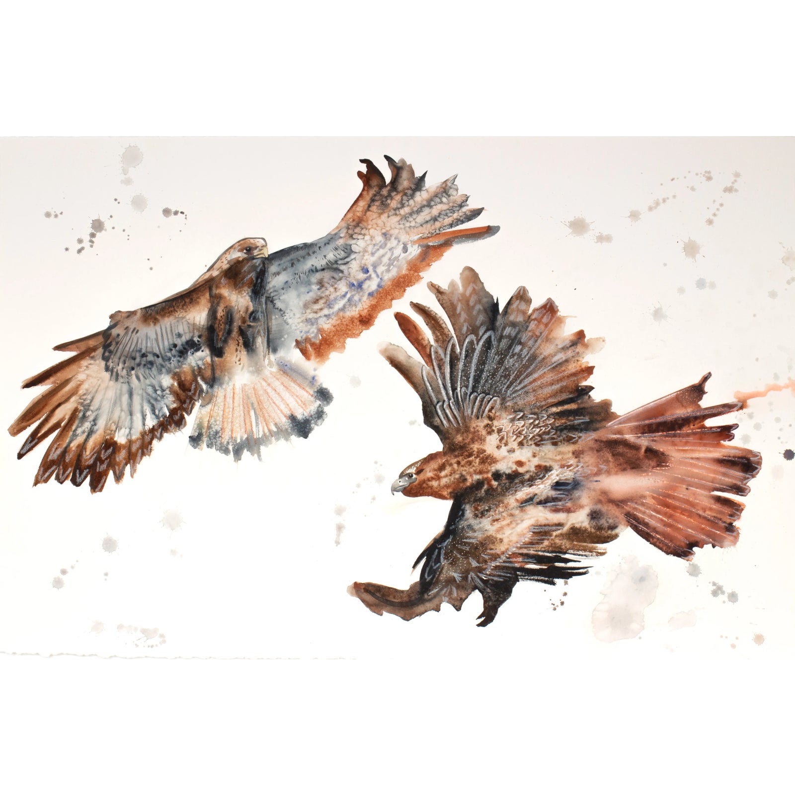 "Flying Hawks" - Original Birds of Prey Watercolor Ink Painting by ...