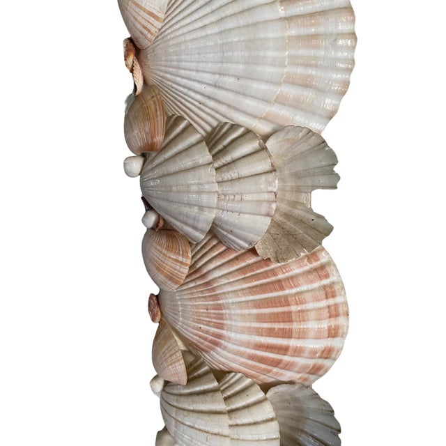 Large Vintage Shell Wall Mirror, Circa 1970’s | Chairish