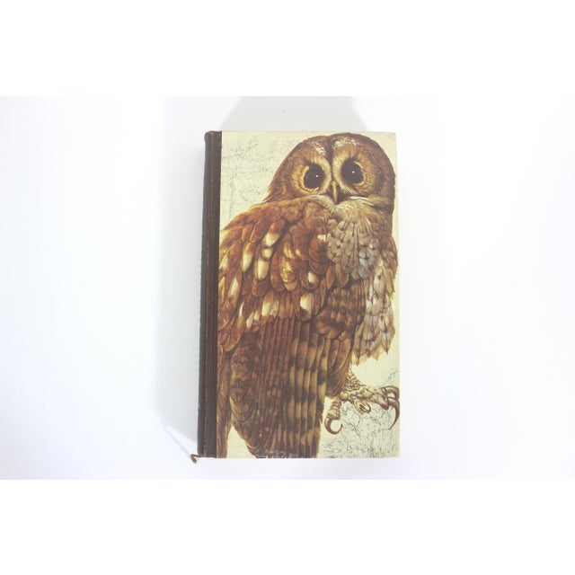 1972 Coffee Table Book for Decorating Book of British Birds | Chairish