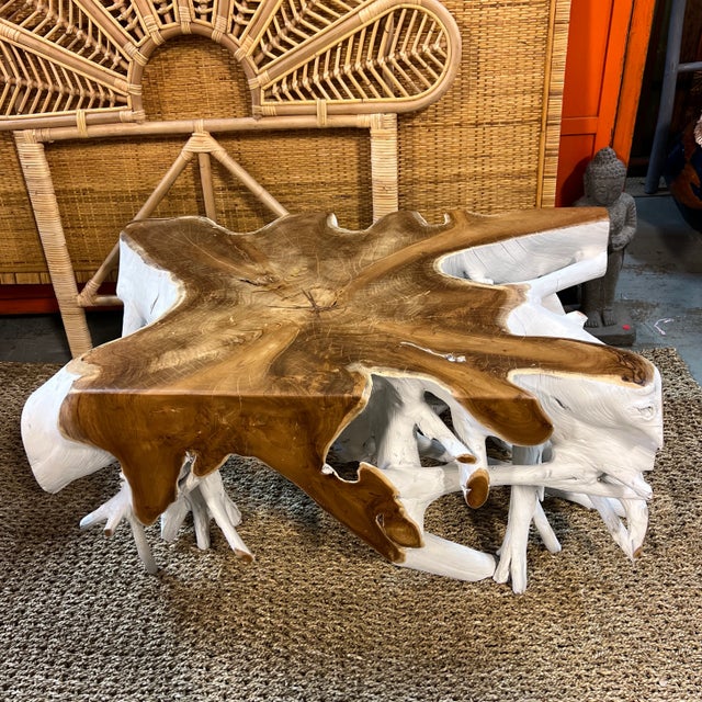 Organic Modern White Teak Root Coffee Table | Chairish