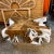 Organic Modern White Teak Root Coffee Table | Chairish