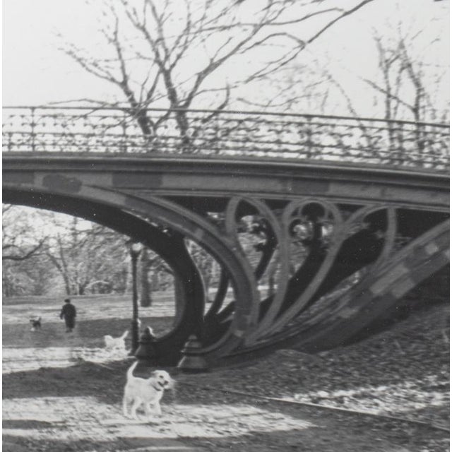 Kay Schrenk "Bridle Path Bridge" Selenium Print | Chairish