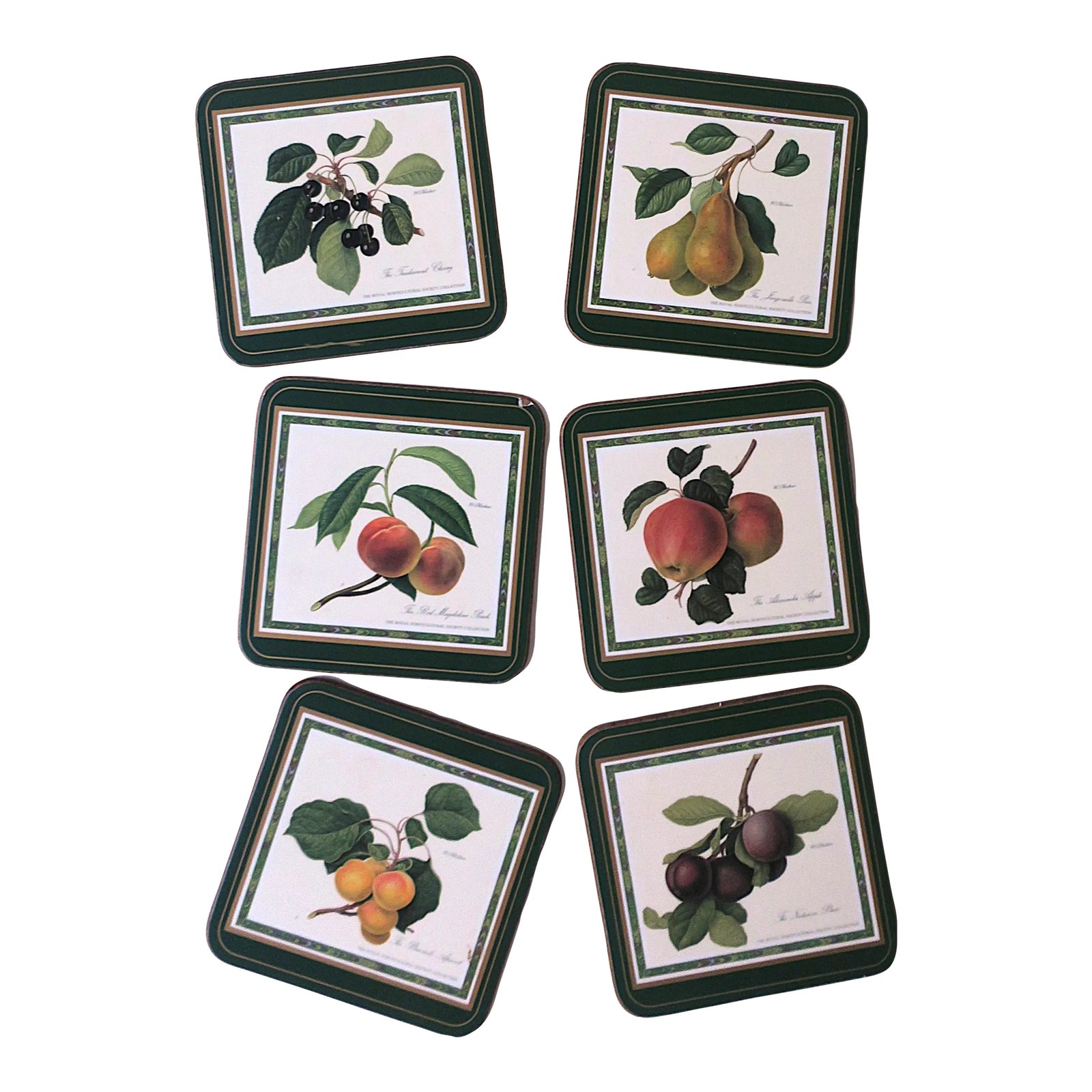 Botanical Fruit Coasters, Set of 6 | Chairish