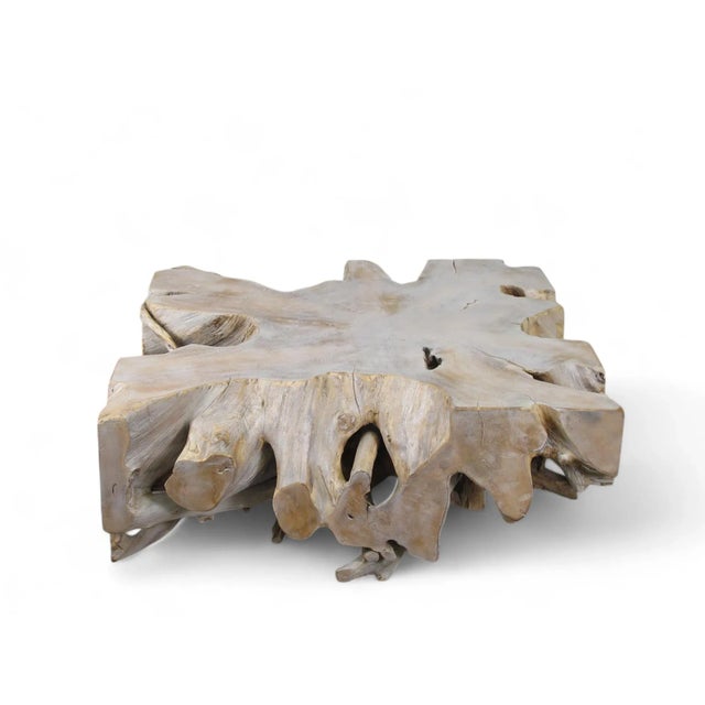 Organic Modern Bleach White Teak Root Coffee Table | Chairish