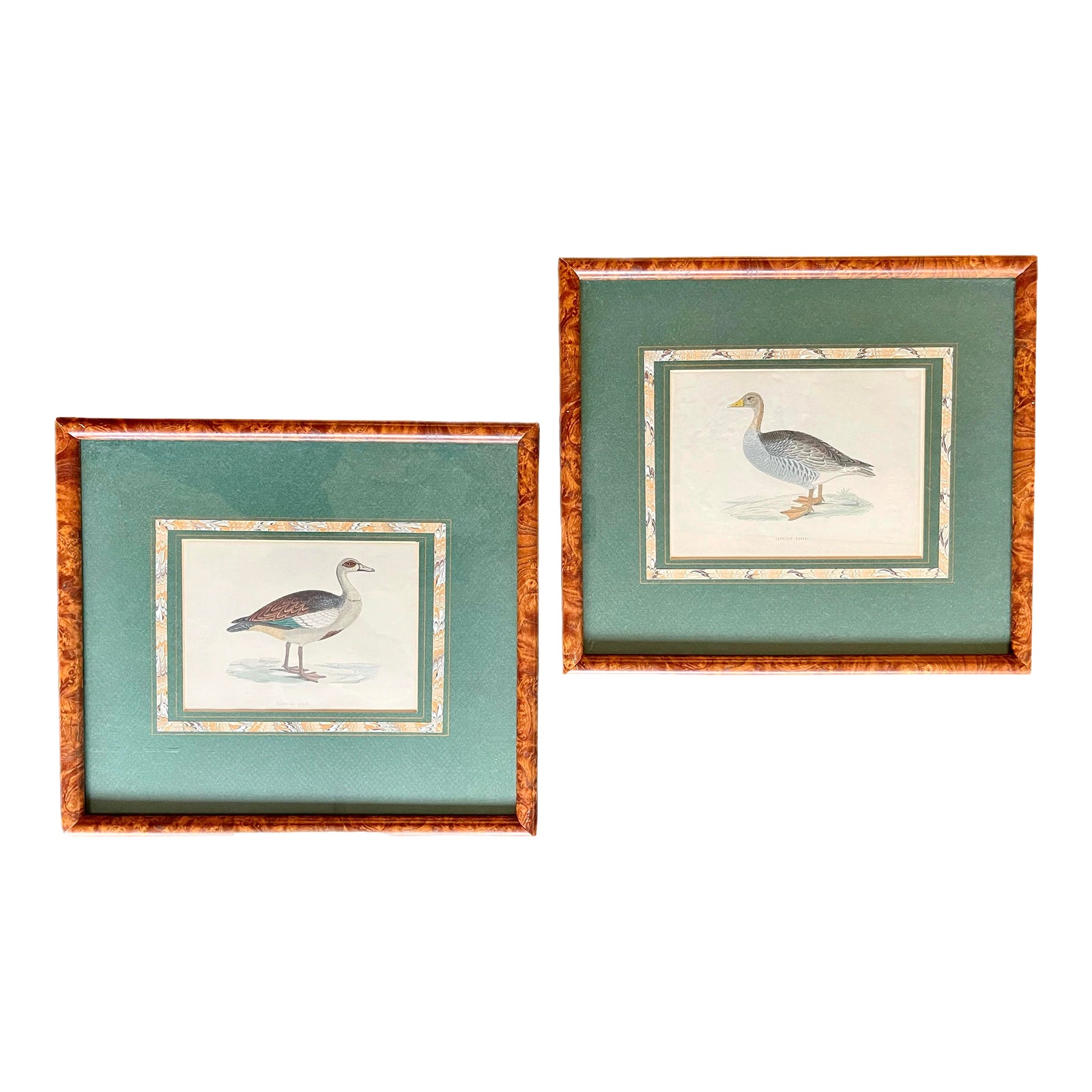 19th C. English Traditional Duck Bookplates -- a Pair | Chairish