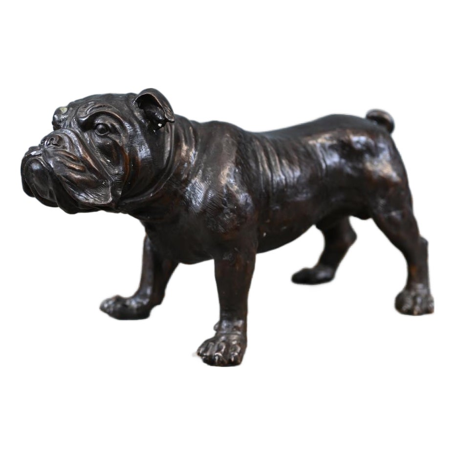 English Bulldog Statue in Bronze | Chairish