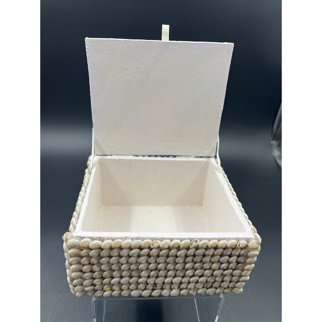 Mid 20th Century Seashell Covered Trinket/Jewel Box With Lid | Chairish