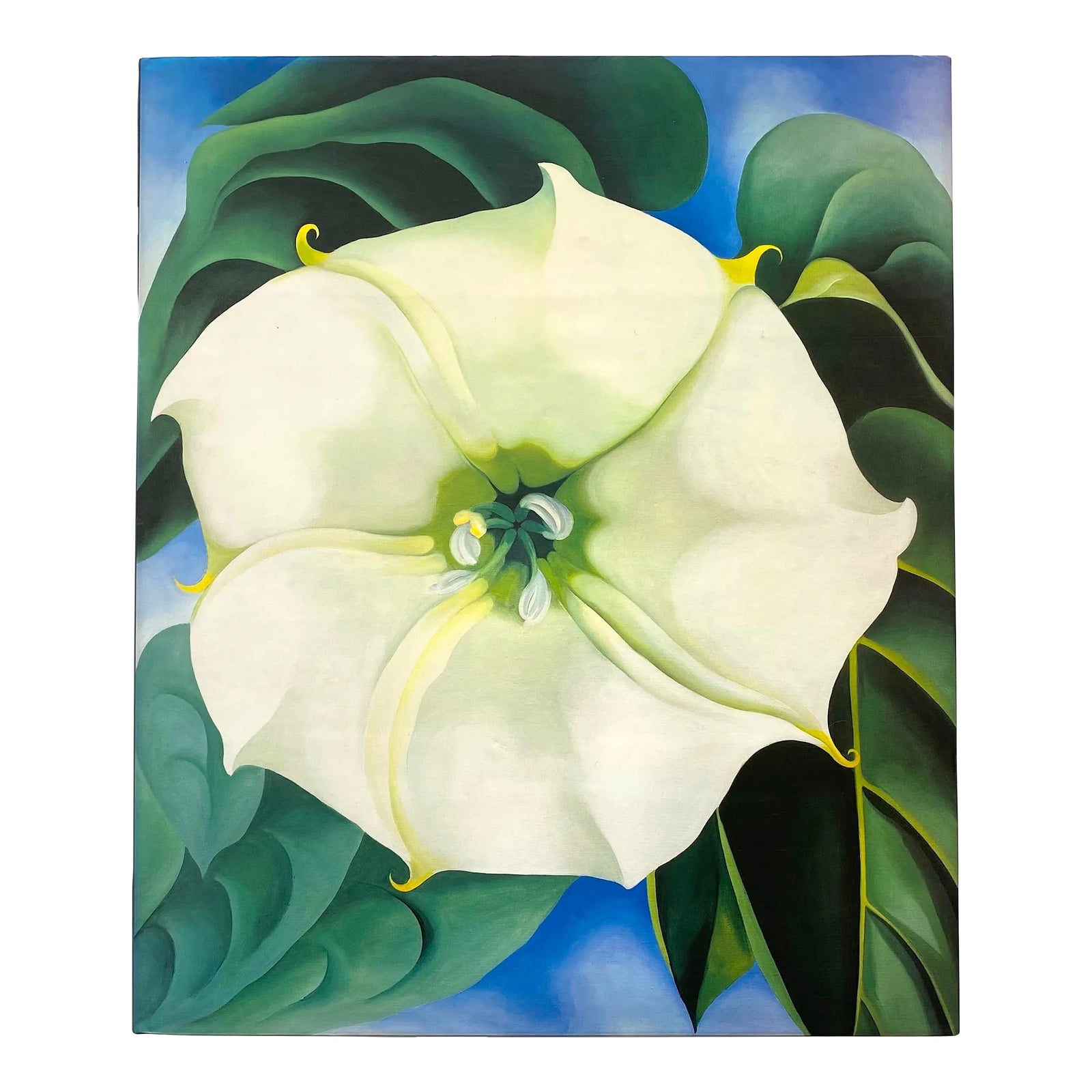 Georgia O'Keeffe " One Hundred Flowers " Vintage 1987 1st Edition ...