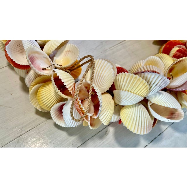 Coastal Natural Sea Shell Wreath | Chairish