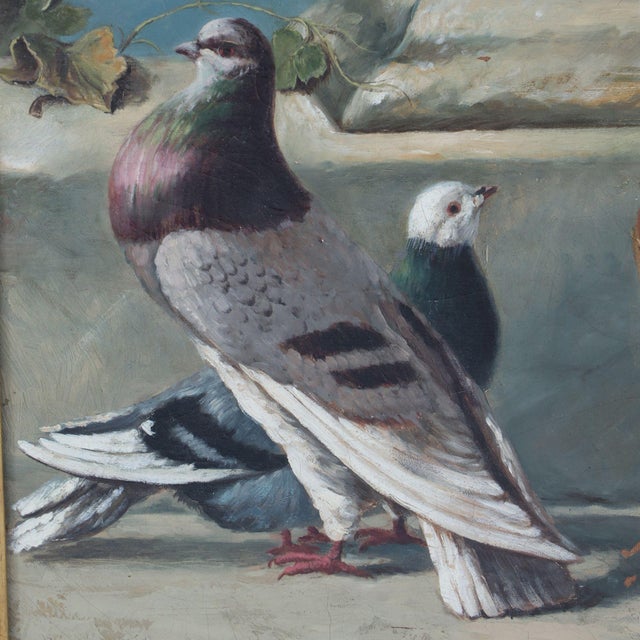 19th Century Classical Oil Painting of Pigeons, Signed p.b. West 1887 ...