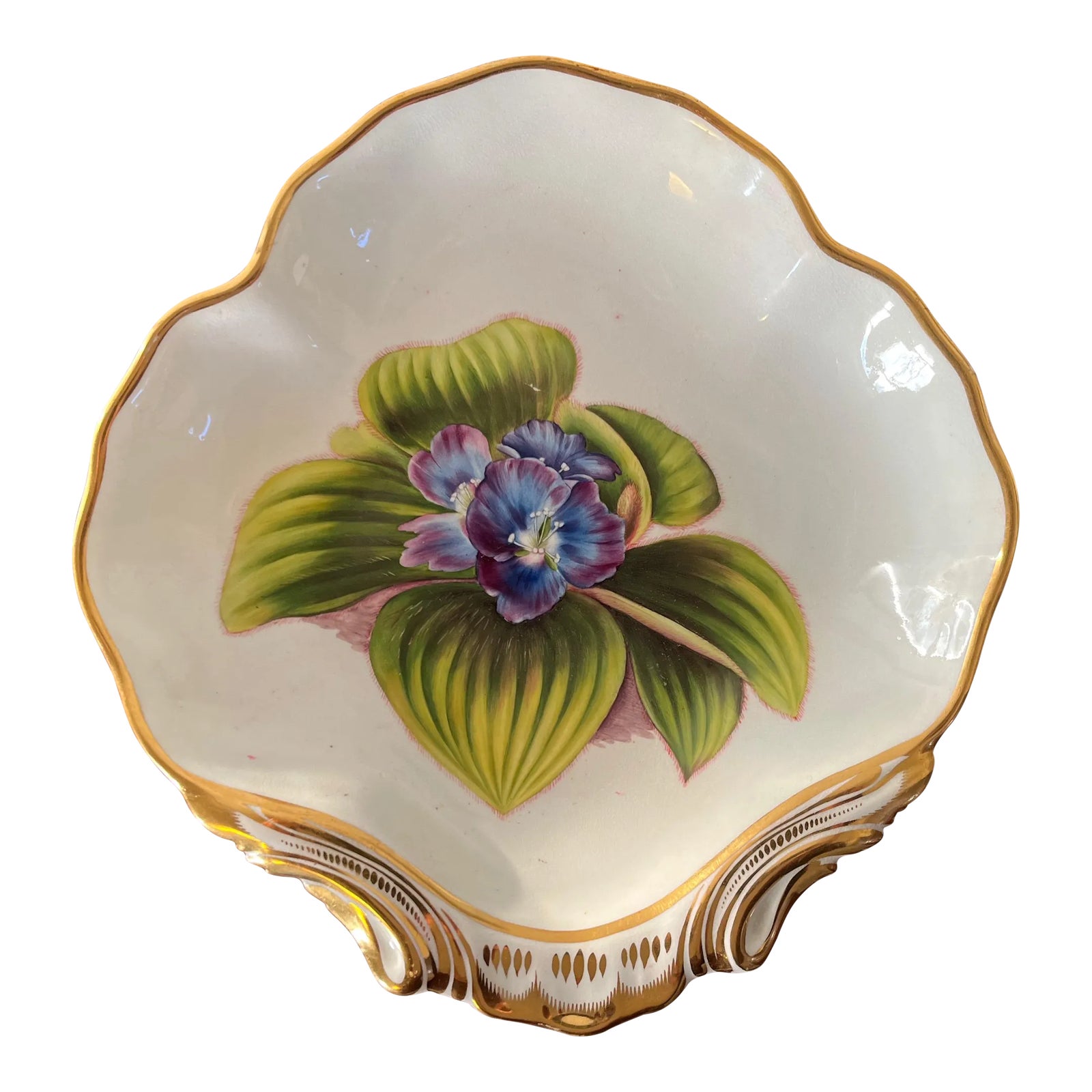 Antique 18th Century English George III Derby Porcelain Botanical Shell ...