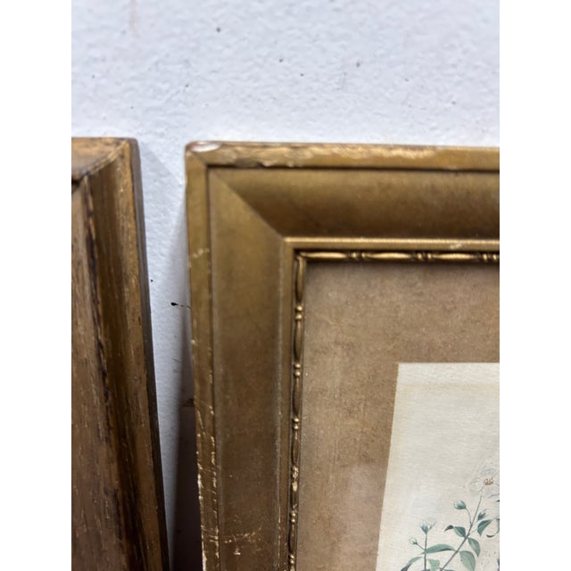 1950s Vintage Arthur Singer Autobahn Bird Prints, a Pair Framed | Chairish