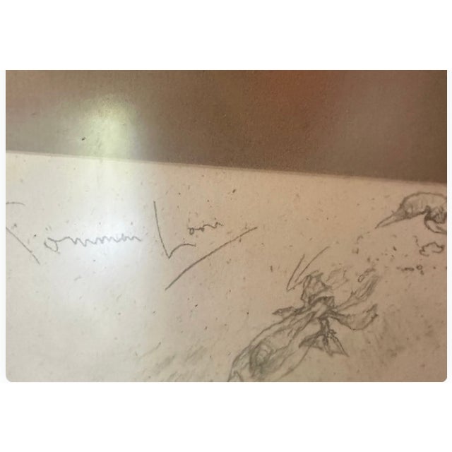 1960s Martin Glen (M.G.) Loates, Common Loon Study Drawing | Chairish