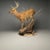 Life-Size Taxidermy Full Body Deer on Faux ConcreteBase, Barasingha ...
