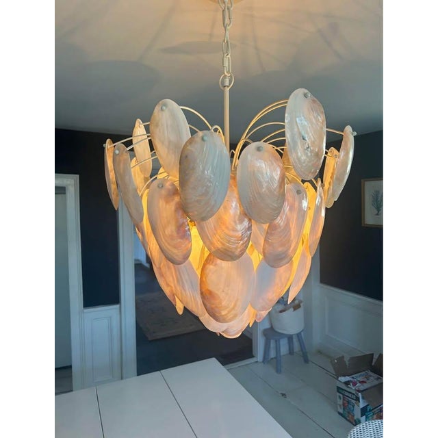 Serena and Lily Kingscliff Coastal Kabibe Shell Chandelier | Chairish