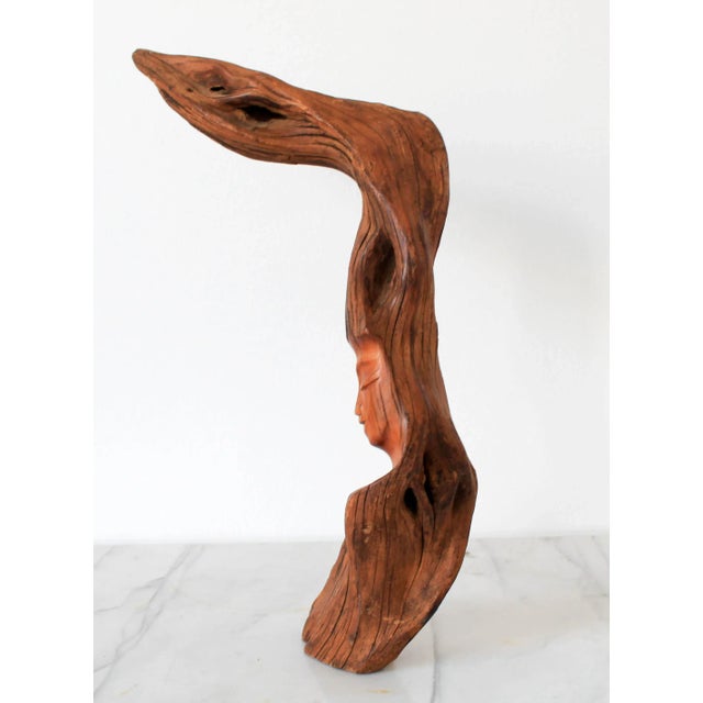 Vintage Hand Carved Tree Root Wood Abstract Art Sculptures S/5 | Chairish