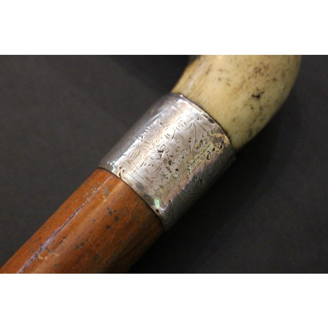Early 20th Century Antler Handled Malacca Walking Stick | Chairish