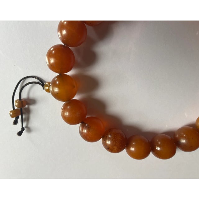 Large Natural Baltic Amber Worry Beads | Chairish