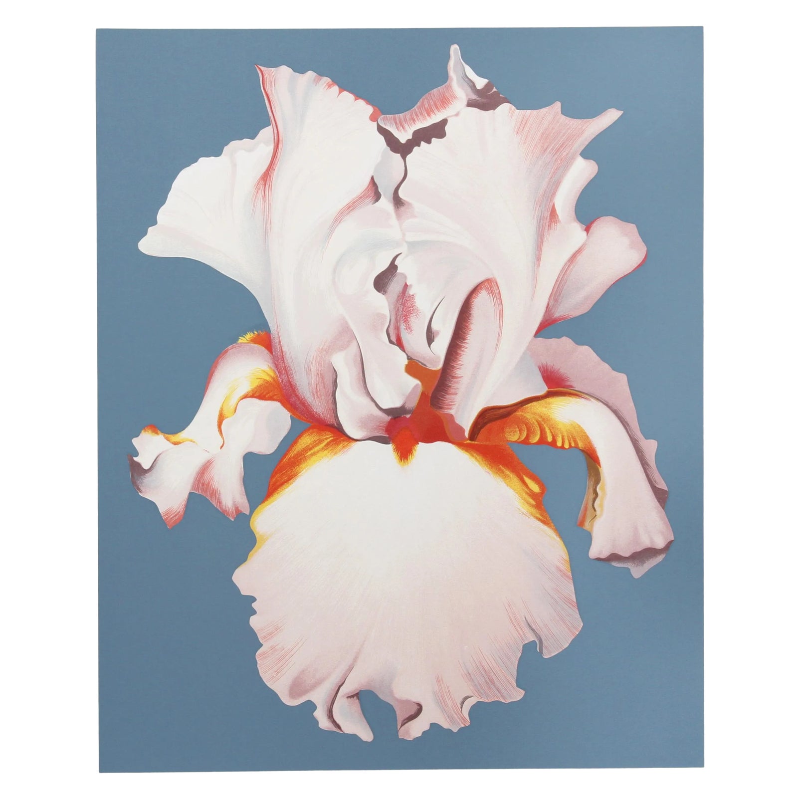 Lowell Nesbitt, " White Iris on Blue Ii", Photorealist Flower ...