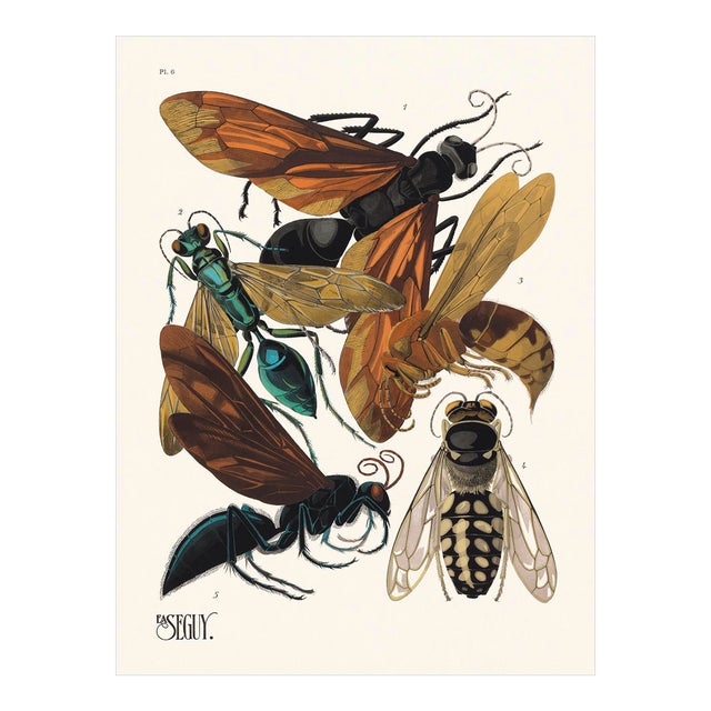 Insects Giclee Reproduction Art Print by Emile-Allain Seguy | Chairish