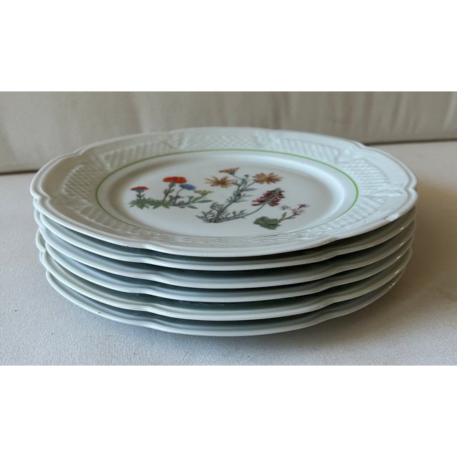 Six Vintage Boho French Country Chic "Wild Flower" Porcelain Dinner ...