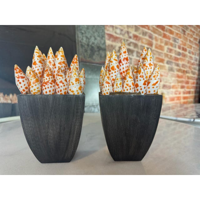 Pair of Mitra Mitra Shell Vases | Chairish