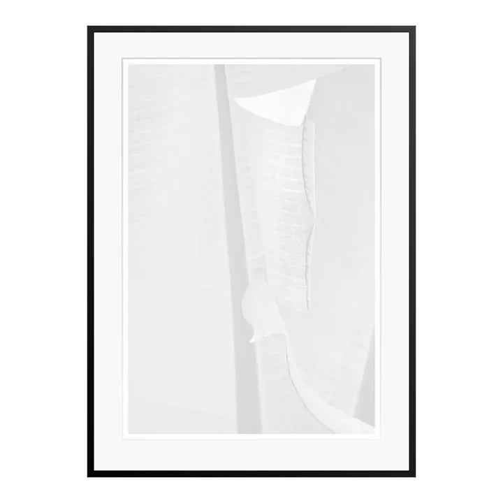 White Leaf by Stuart Möller Framed | Chairish
